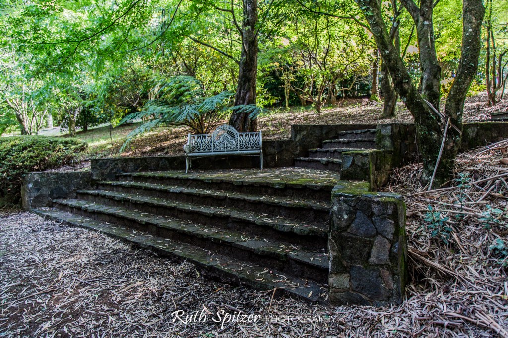 Comforting colours of fall in Mount Wilson – Ruth Spitzer